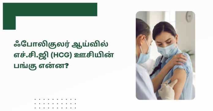 ஃபோலிகுலர் ஆய்வுயில் எச்.சி.ஜி (HCG) ஊசியின் வேலை என்ன? - Role of hCG ...